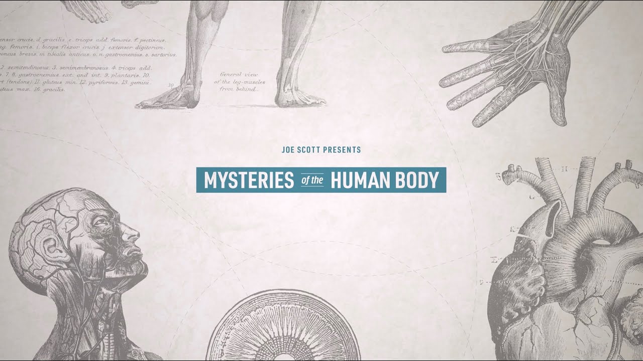 Nebula Original Series Mysteries Of The Human Body - Teaser - That Joe ...