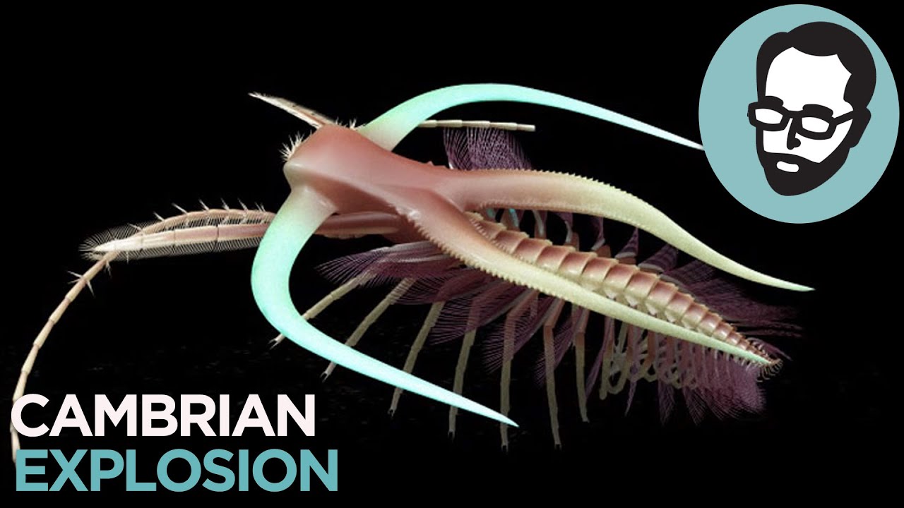 The Cambrian Era: Life's Prototype Stage - That Joe Scott
